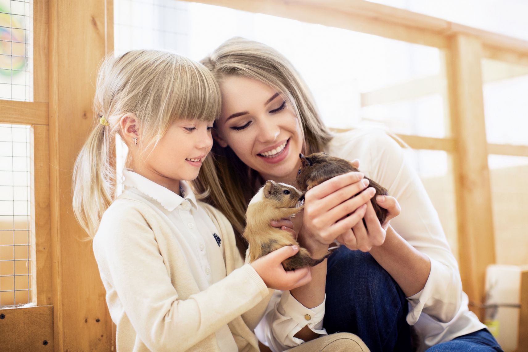 Tierheim: Hoffnung auf ein neues Zuhause - Das-Tierlexikon.de